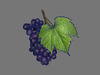 Grape 3D model | CGTrader