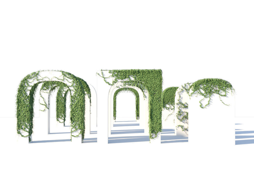 Ivy Collection 3D model | CGTrader