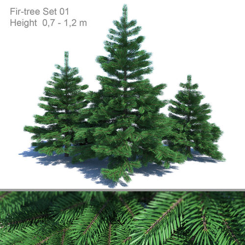 Fir-tree Set 01 3D model | CGTrader