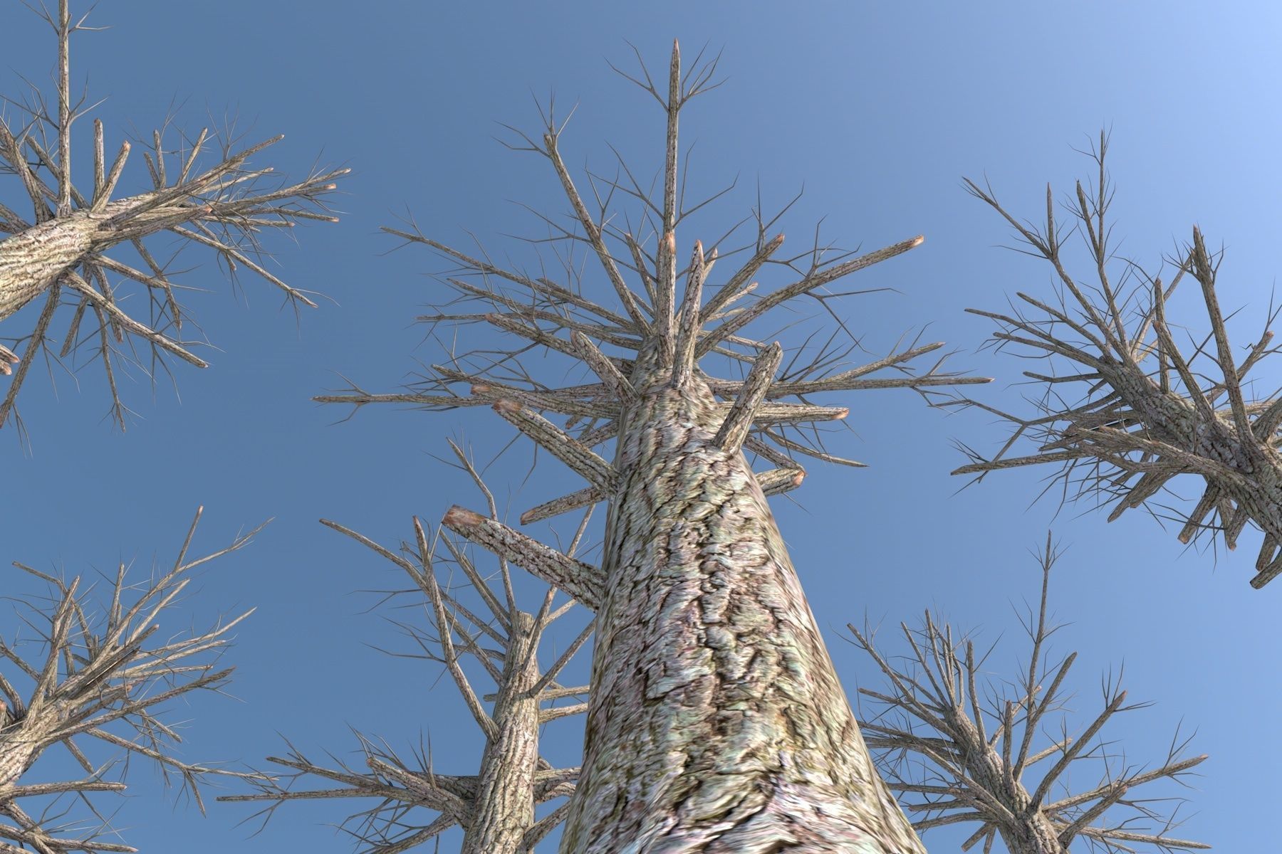 3D model Dead Giant Redwoods Trees VR / AR / low-poly | CGTrader