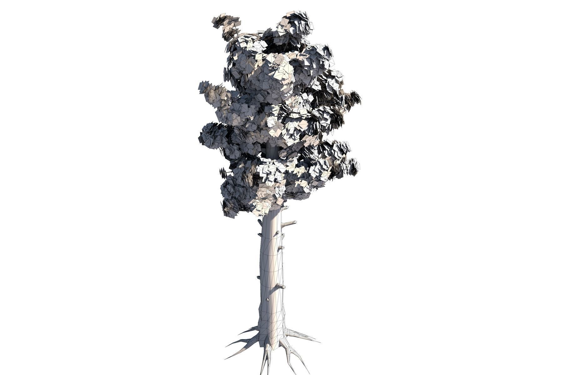 3D model Giant Redwood Tree VR / AR / low-poly | CGTrader