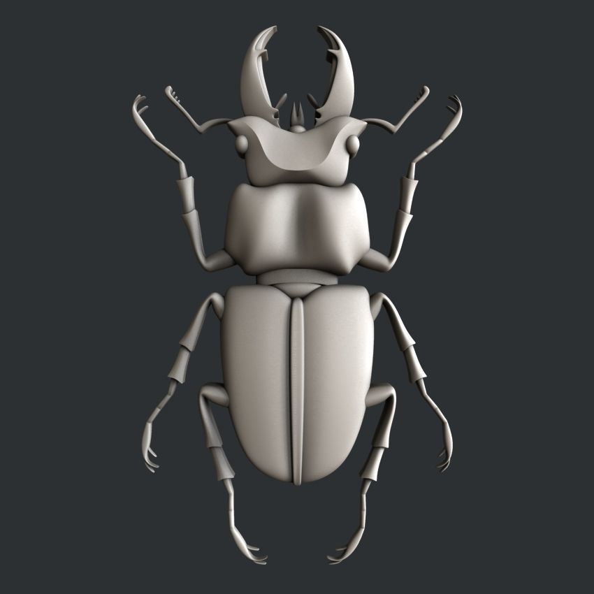 3d STL models for CNC bug 3D model | CGTrader