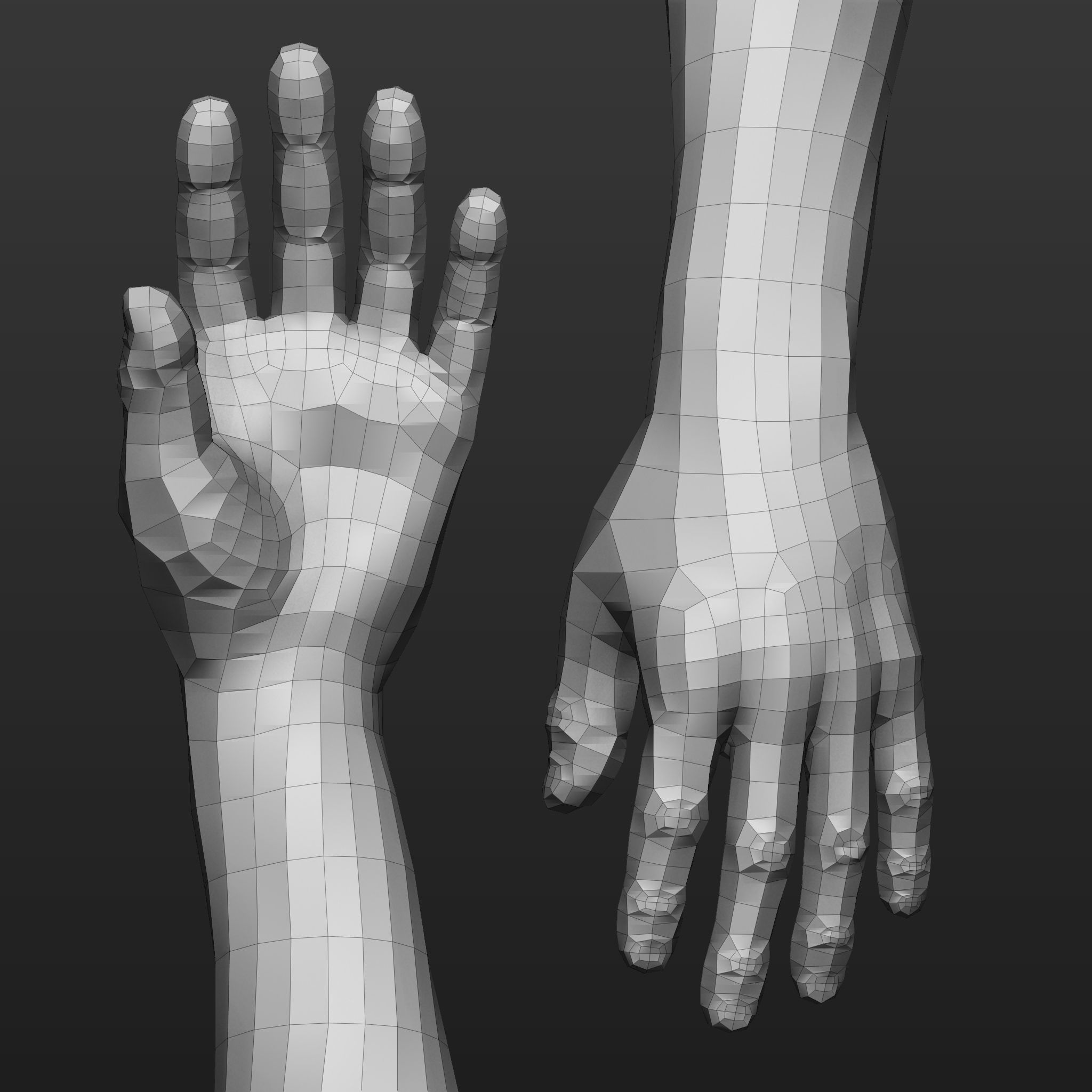 Hi res Male body model 3D model | CGTrader