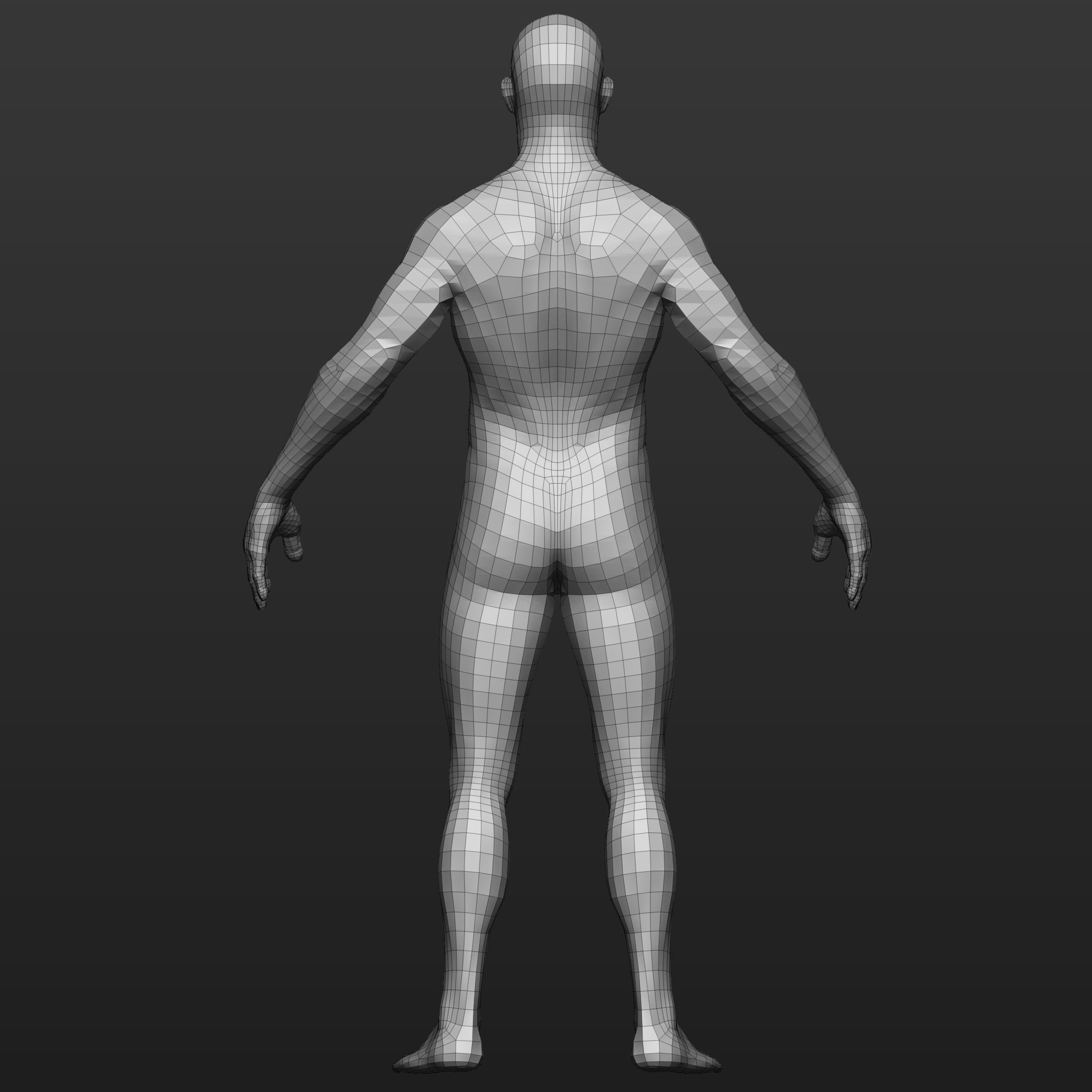 Hi res Male body model 3D model | CGTrader