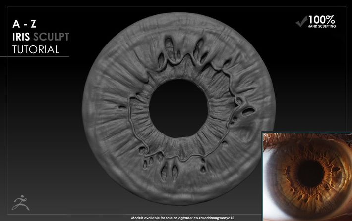 HD Iris Sculpting in Zbrush A-Z